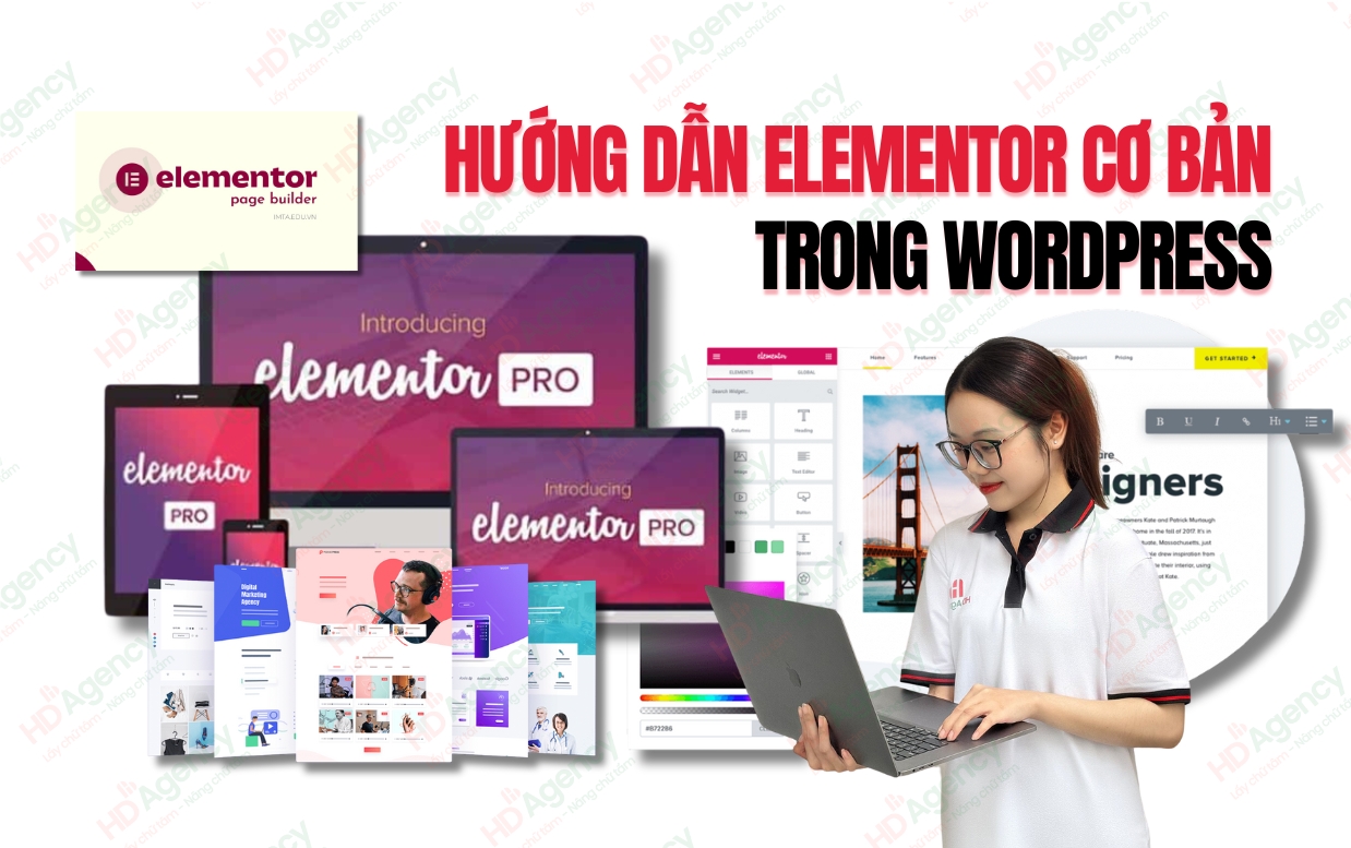 Hướng Dẫn Elementor Cơ Bản Trong WordPress - HD Agency